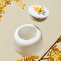 China Functional Design 4.7