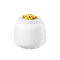 China Functional Design 4.7