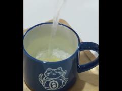 Customized ceramic mug Blue and white cat cup