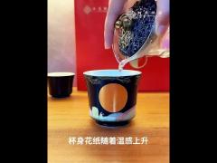 Food Safe Color Changing Ceramic Design Tea Pots Coffee / Tea Sets Design Coffee Tea Brewing Pots