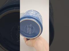 Customized ceramic mug Blue and white cat cup