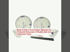 In Stock Elegant Tableware Set Of Ceramic Dinnerware In Modern Style And Customized Colors