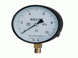 China YE-150 type Bellows pressure gauge for sale