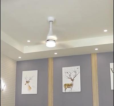 Cina Ventilatore da soffitto di pala moderno dell'ABS di stile 75w in vendita