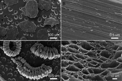 중국 열전도성 을 위한 고성능 확장 가능한 그래피트 분말 판매용