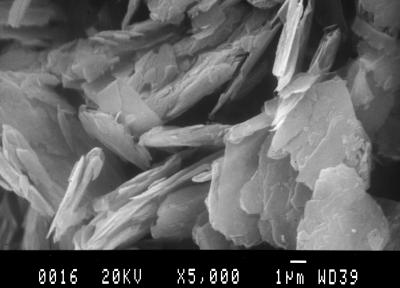 중국 고강도 확장 가능한 그래피트 분말 판매용