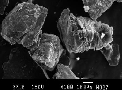 중국 확장가능한 흑연 분말 자연적 플레이크 높은 퍼티 200 메쉬 판매용