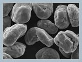 Quality BPP Spherical Graphite Anode Material For Lithium Battery for sale