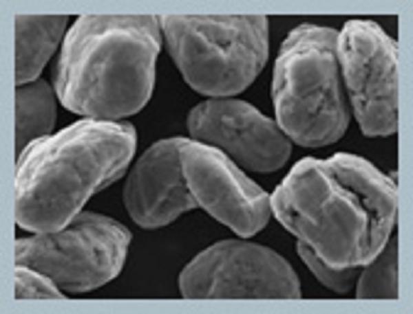 0,5% hoher Kohlenstoff 0.9-1.05g/Cc Feuchtigkeits-Li Ion Graphites 5um-25um 97-99.98%