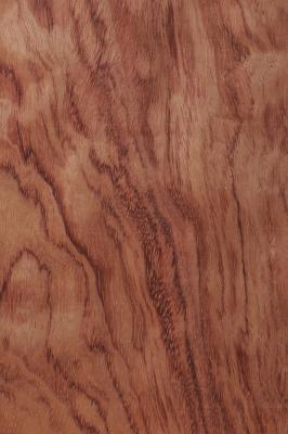China BUBINGA Wood Veneer for sale