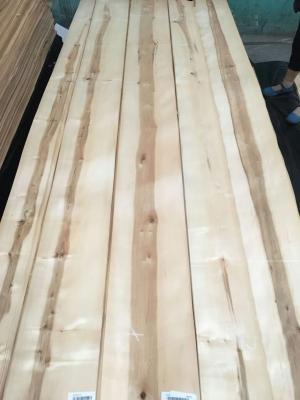 China Rustic Knotty Maple Veneer with Double Colors from www.shunfang-veneer-com.ecer.com for sale