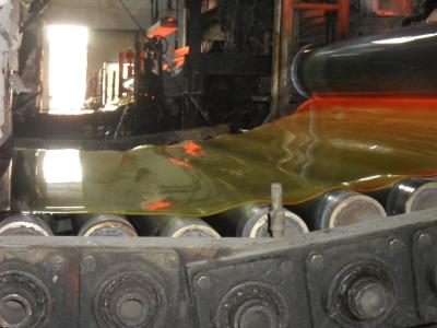 Cina Flora del bronzo 3mm dell'euro la chiara ha calcolato le dimensioni di riserva di vetro 6mm, pannelli di vetro modellato in vendita