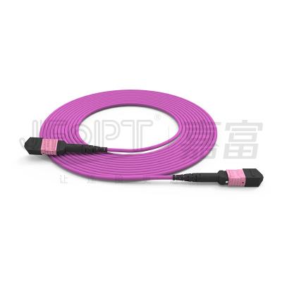 Chine 100G MTP Patch Cord 24 Noyaux Multimode OM4 50/125 LSZH 3.0-4.0mm Heather Violet Jumper à vendre