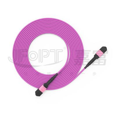 Chine 100G MTP Patch Cord 24 Noyaux Multimode OM4 50/125 LSZH 3.0-4.0mm Heather Violet Jumper à vendre