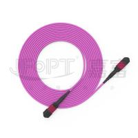 China Switchable Polarity MPO patch cable With A/B Polarity Conversion And Key Reversal for sale