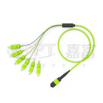 Chine MTP - corde de correction de embranchement de Sc de câble principal du noyau 3.0mm du noyau 8 de Sc 6 à vendre