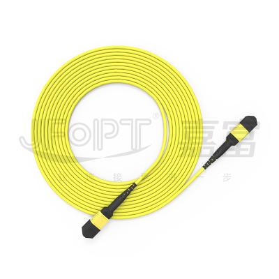 Cina 10 Gigabit MPO conncetor patch cord per la connessione del segnale ottico in sala computer Fibra ottica veloce e connessione in vendita