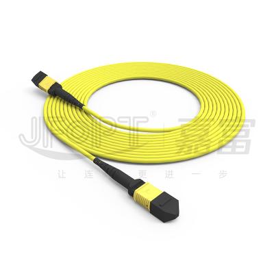 Cina 10 Gigabit MPO conncetor patch cord per la connessione del segnale ottico in sala computer Fibra ottica veloce e connessione in vendita