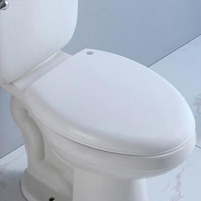 Cina Ruvido a 10 pollici nella parte anteriore rotonda del water a cacciata di Ada Comfort Height Toilet Siphon in vendita