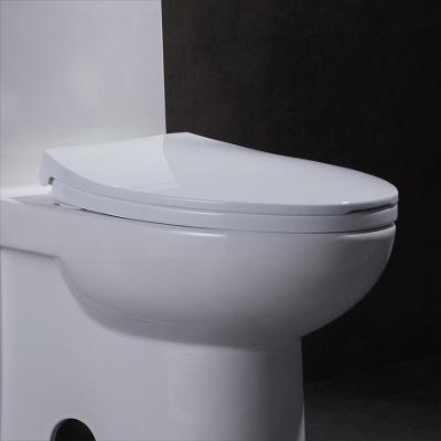 Cina Ruvido a 10 pollici nella toilette prolungata di un pezzo toilette di altezza di comodità di 1 pezzo in vendita