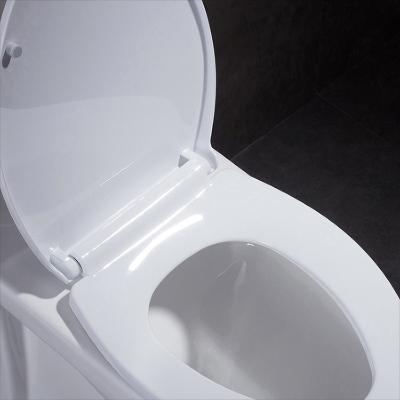 Cina Ruvido a 10 pollici nella toilette prolungata di un pezzo toilette di altezza di comodità di 1 pezzo in vendita