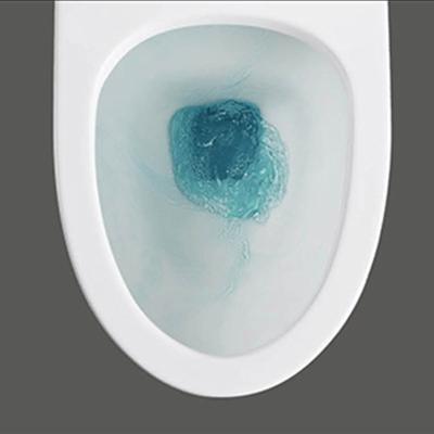 China de druk staat van het het toiletbidet van de Sifon de Gelijke Klep Één stuk begrenste Kaart 1000G bij Te koop