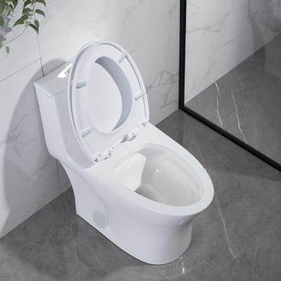 Cina Ruvido a 12 pollici lustrato della sciacquone di un pezzo a livello doppia ceramica di Siphonic dentro in vendita