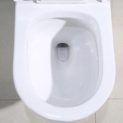 Cina A 19 pollici - toilette fissa di un pezzo prolungata alta a 15 pollici in vendita