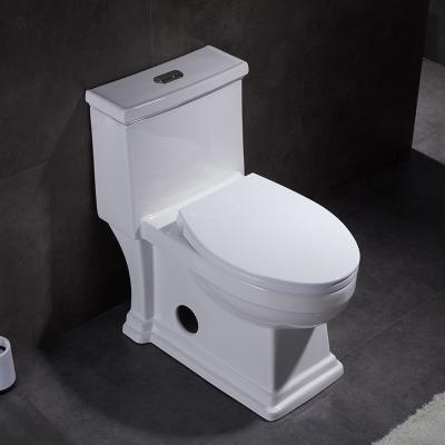 Cina Handicap Ada Elongated Toilet standard americana una conservazione dell'acqua di 1 pezzo in vendita