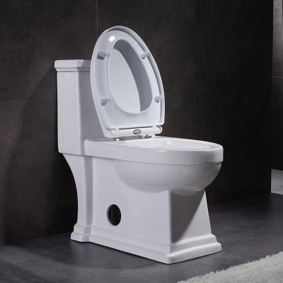 Cina Handicap Ada Elongated Toilet standard americana una conservazione dell'acqua di 1 pezzo in vendita