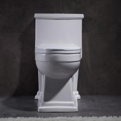 Cina Handicap Ada Elongated Toilet standard americana una conservazione dell'acqua di 1 pezzo in vendita