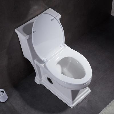 Cina Handicap Ada Elongated Toilet standard americana una conservazione dell'acqua di 1 pezzo in vendita