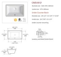China Ada Compliant Wall Mount Bathroom Sink Ceramic Undermount Basin for sale