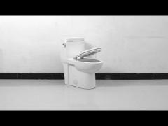 Toiletten-Stuhl-Höhen-Energie-Erröten Cupc Siphonic einteiliges