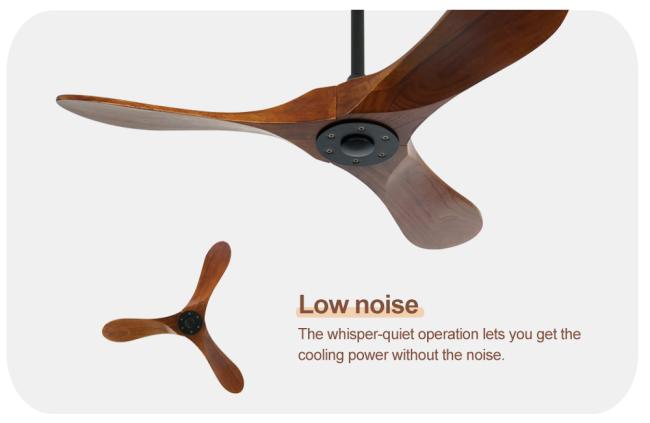 ceiling fan