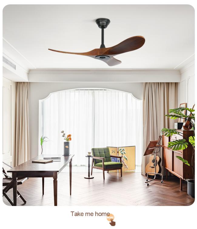 ceiling fan