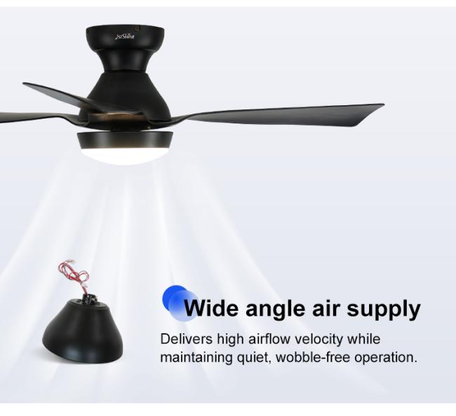 ceiling fan
