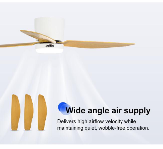 flush mount ceiling fan