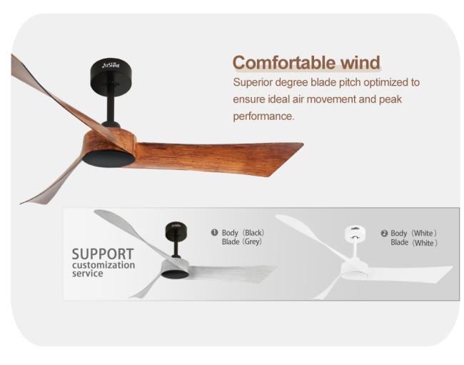ceiling fan