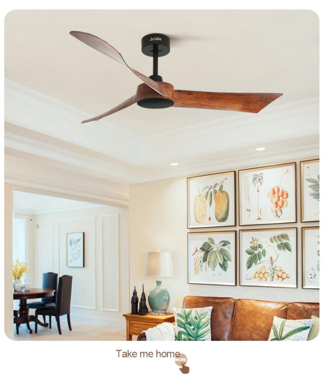 ceiling fan