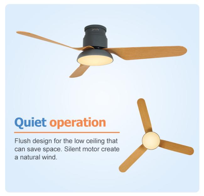 ceiling fan