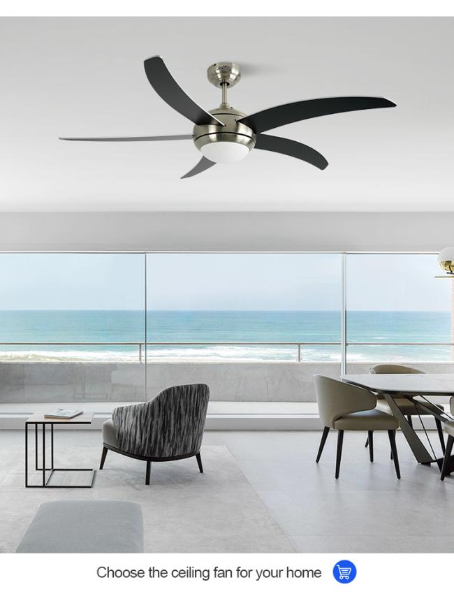 ceiling fan