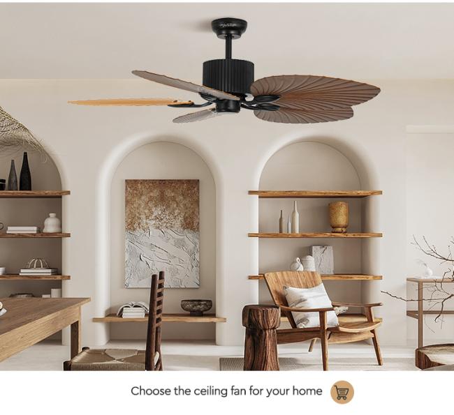 ceiling fan