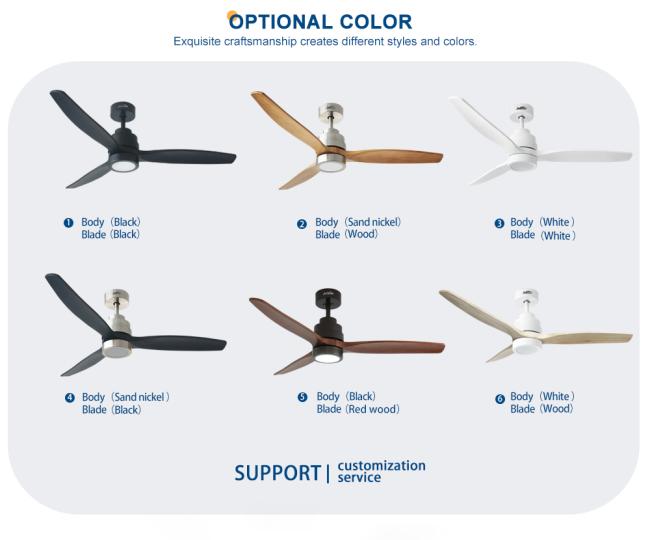 ceiling fan