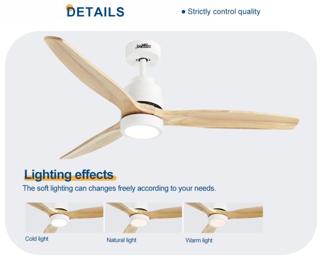 ceiling fan