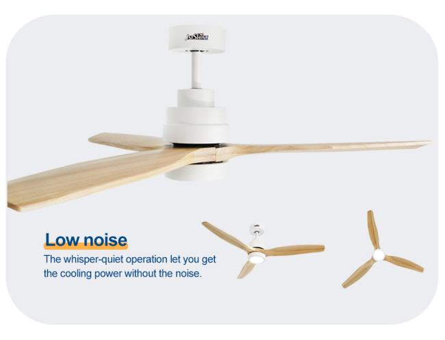 ceiling fan