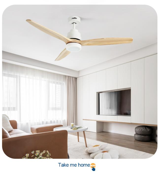 ceiling fan