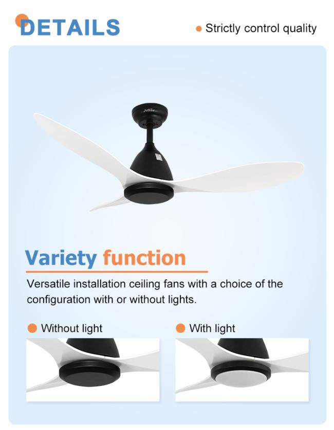 ceiling fan
