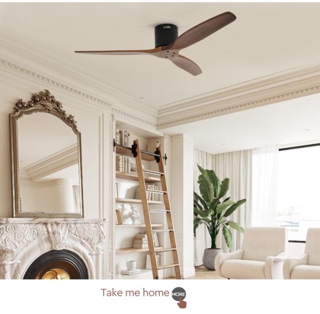 ceiling fan