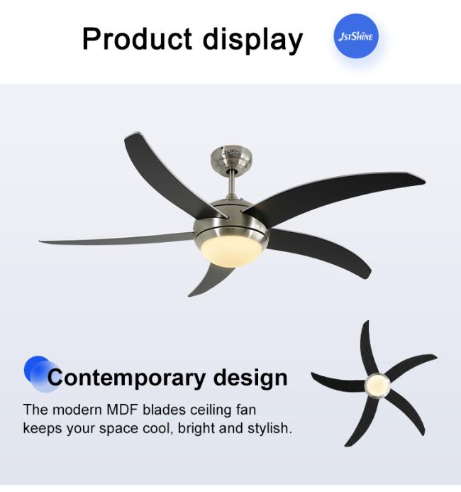 ceiling fan